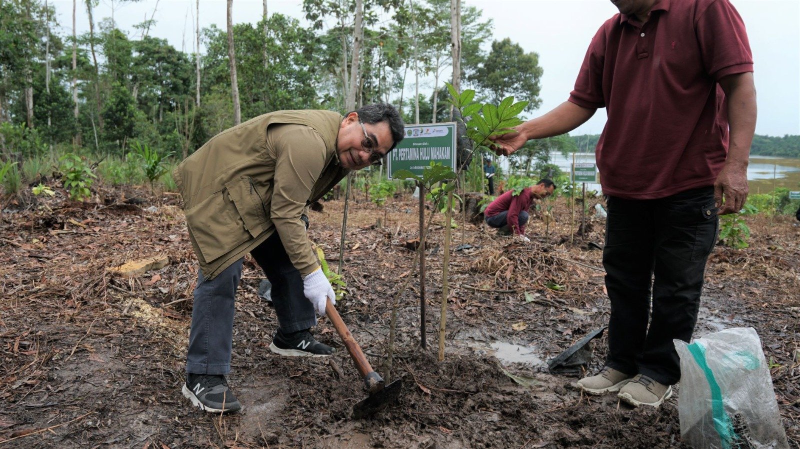 PT Pertamina Hulu Mahakam Rehabilitasi 345 Hektare DAS di Hutan Lindung ...